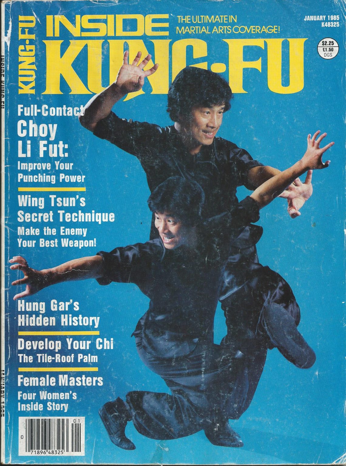 Grandmaster Lee Koon Hung - Lee Koon Hung Choy Lay Fut Kung Fu