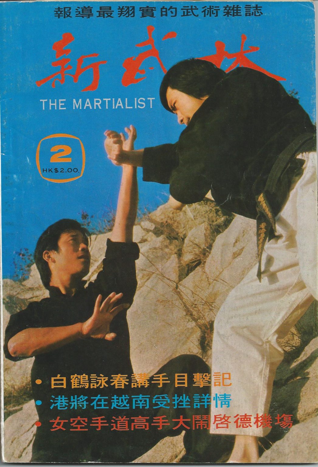 Grandmaster Lee Koon Hung - Lee Koon Hung Choy Lay Fut Kung Fu